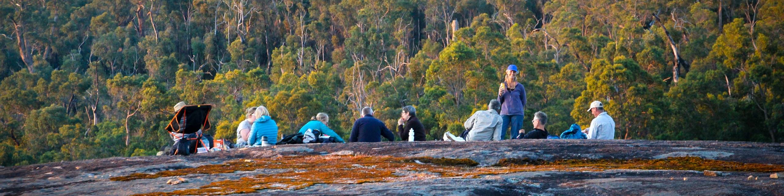 Redtail Bushwalkers - DownToMeet